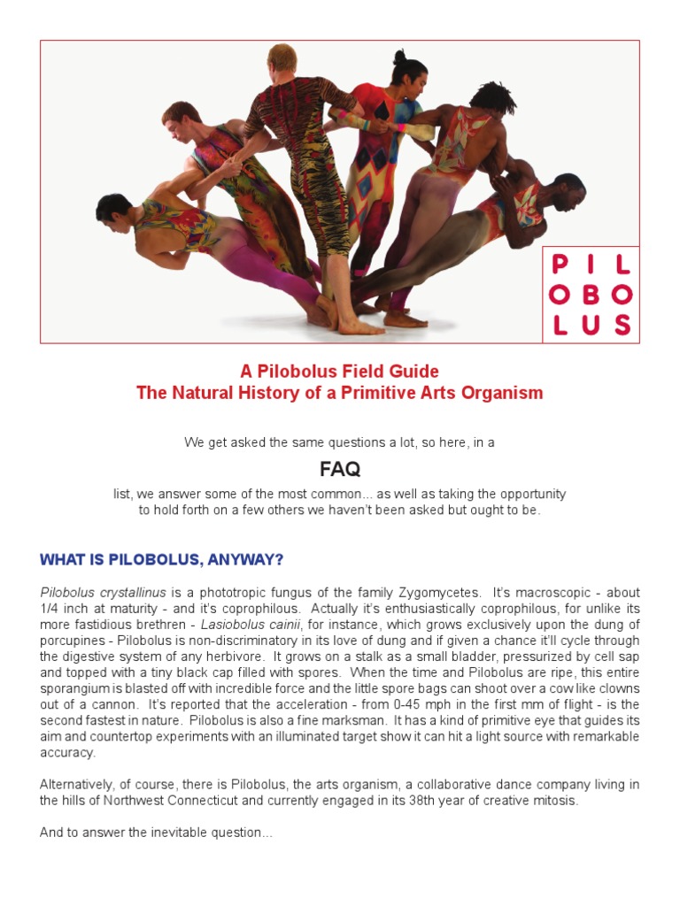 Pilobolus: Dance Company Origins Explained | PDF | Dances | Storytelling