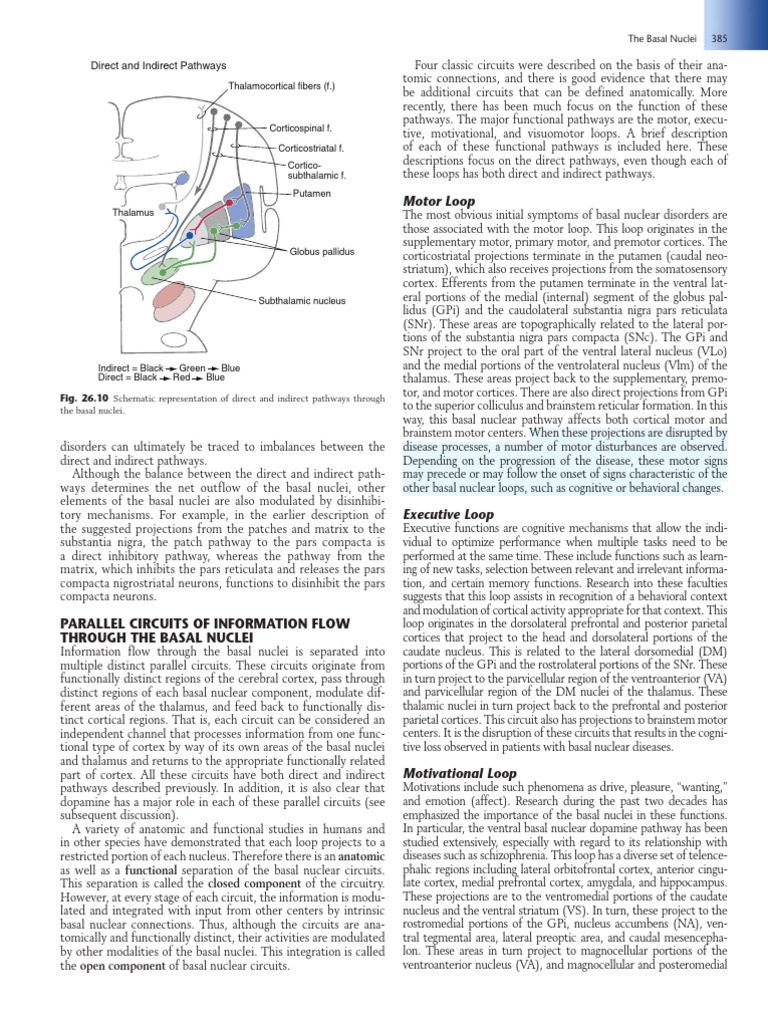 Fundamental Neuroscience For Basic and Clinical Applications.2018.5th ...
