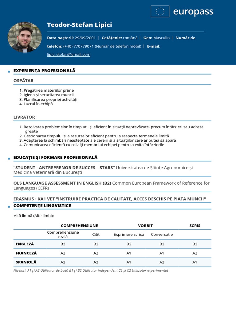 CV - Teodor-Stefan Lipici | PDF