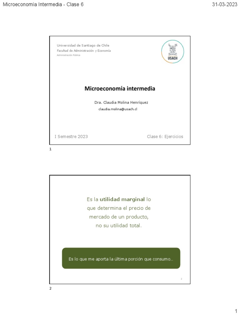 Excedente Total del Consumidor en Mercados | PDF