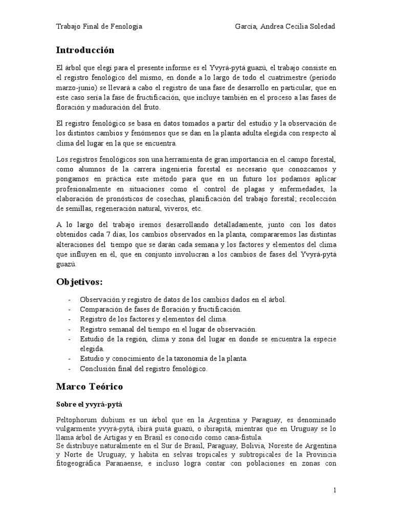 Registro Fenológico Del Yvyrá-Pytá | PDF