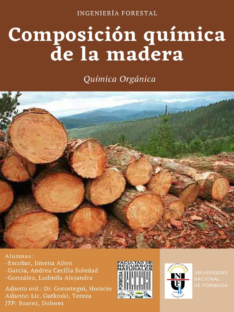Composición Química de La Madera | PDF