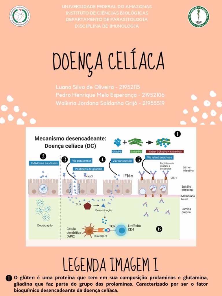 Doença Celíaca | PDF