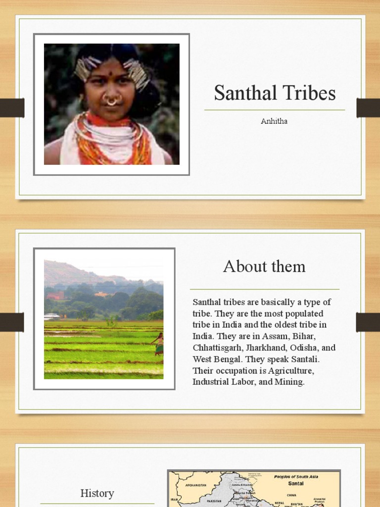 Santhal Tribe | PDF