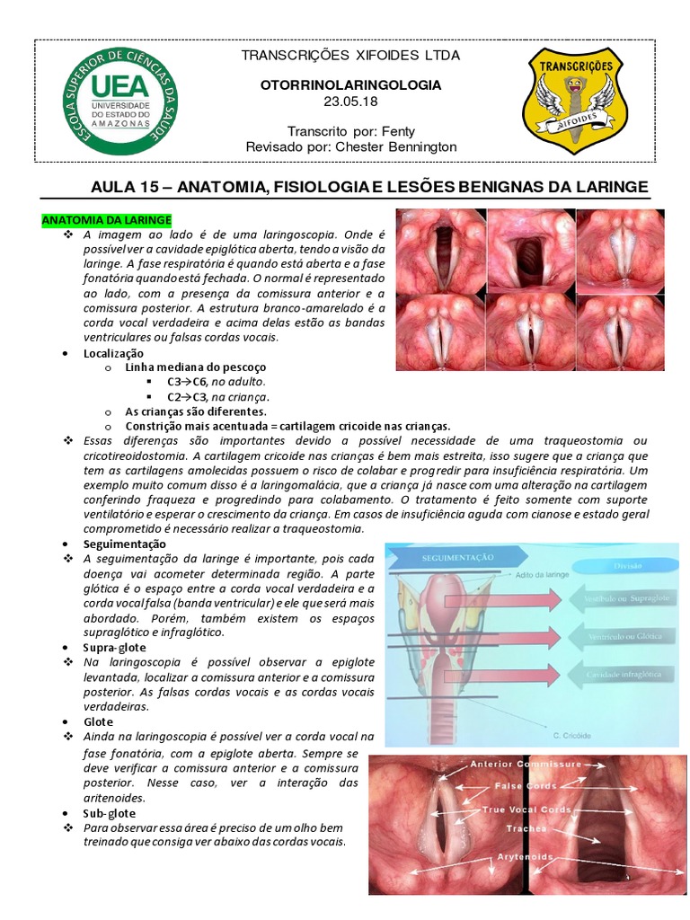 Transcrição - Anatomia, Fisiologia e Lesões Benignas Da Laringe ...