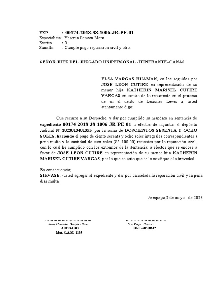 REPARACION Elsa Vargas Huaman | PDF