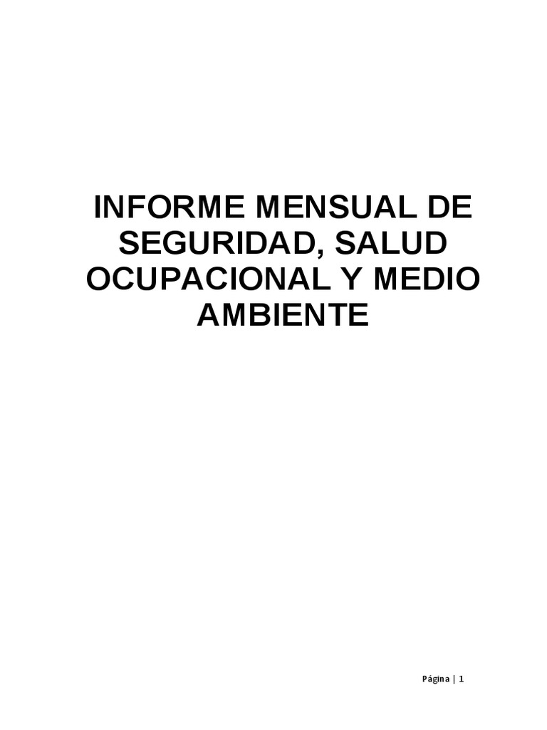 Informe de Seguridad | PDF | Seguridad y salud ocupacional | La seguridad