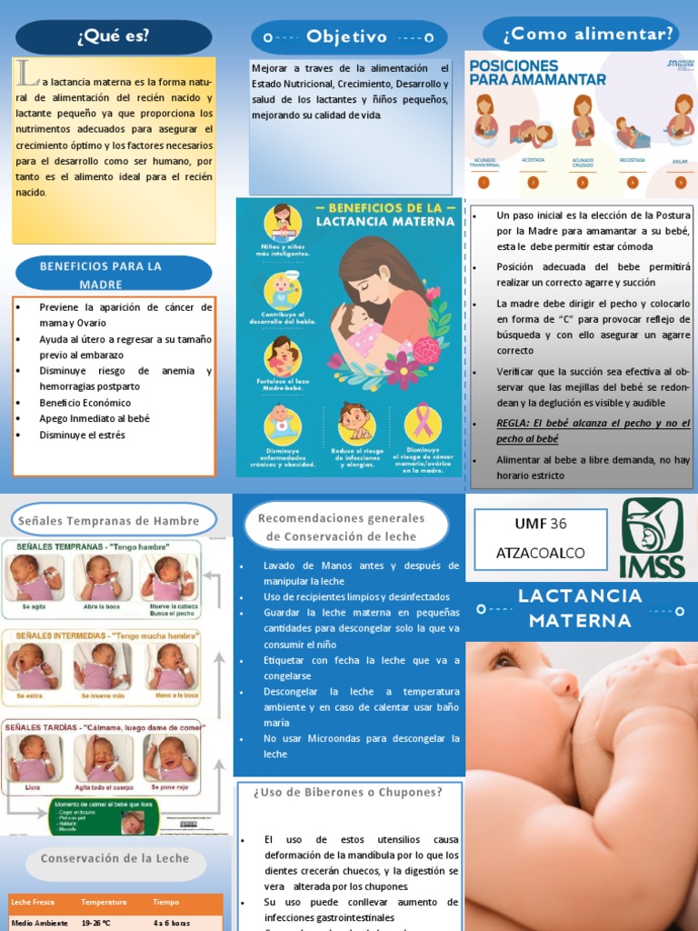 Triptico Lactancia Materna | PDF | Amamantamiento | Leche