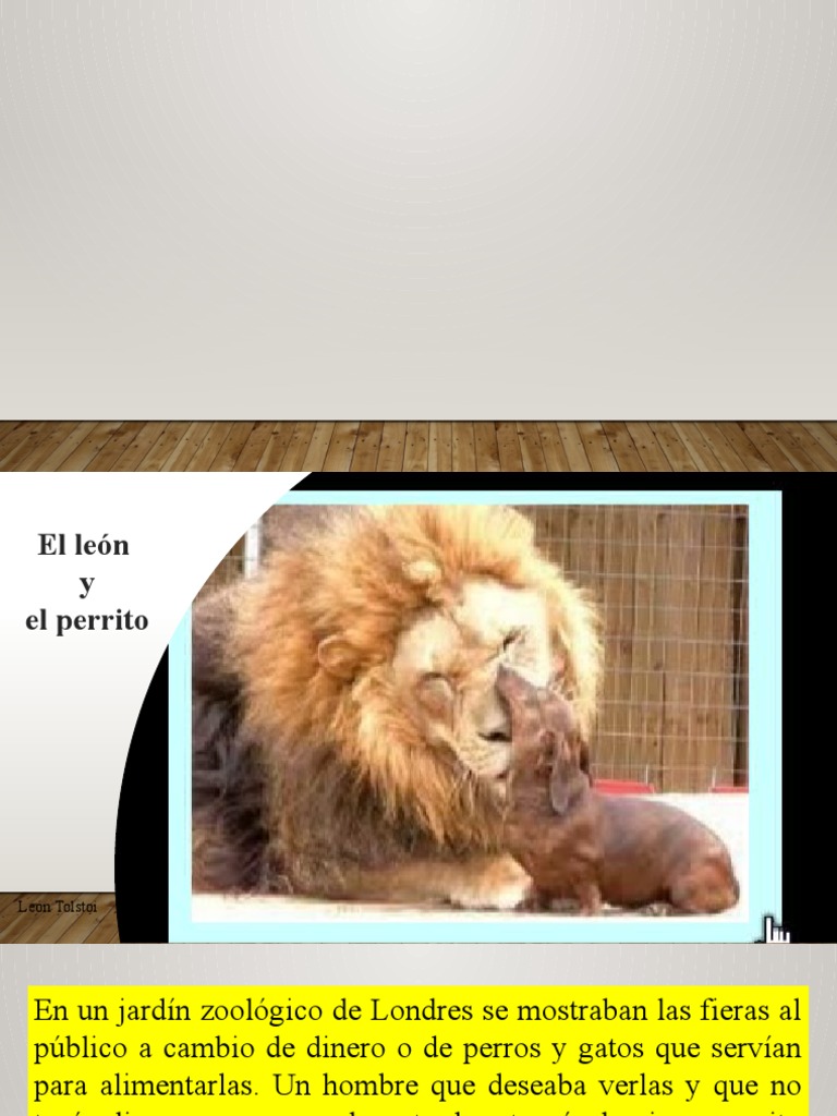 El Leon y El Perrito | PDF