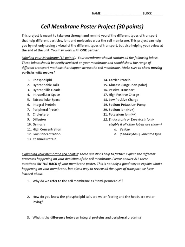 Cell Membrane Poster Project | Download Free PDF | Cell Membrane | Cell ...