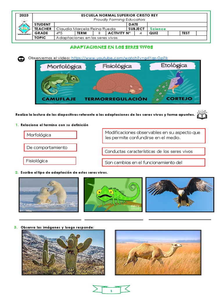 Adaptaciones de los Seres Vivos para Niños | PDF | Comportamiento ...