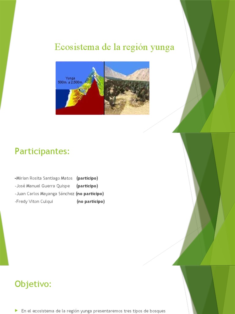 Ecosistema de La Región Yunga | PDF