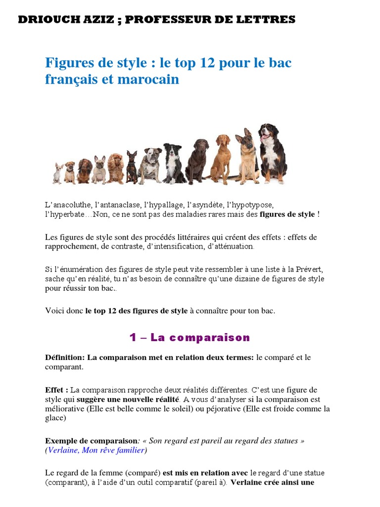 Figures de Style | PDF | Allégorie | Métaphore