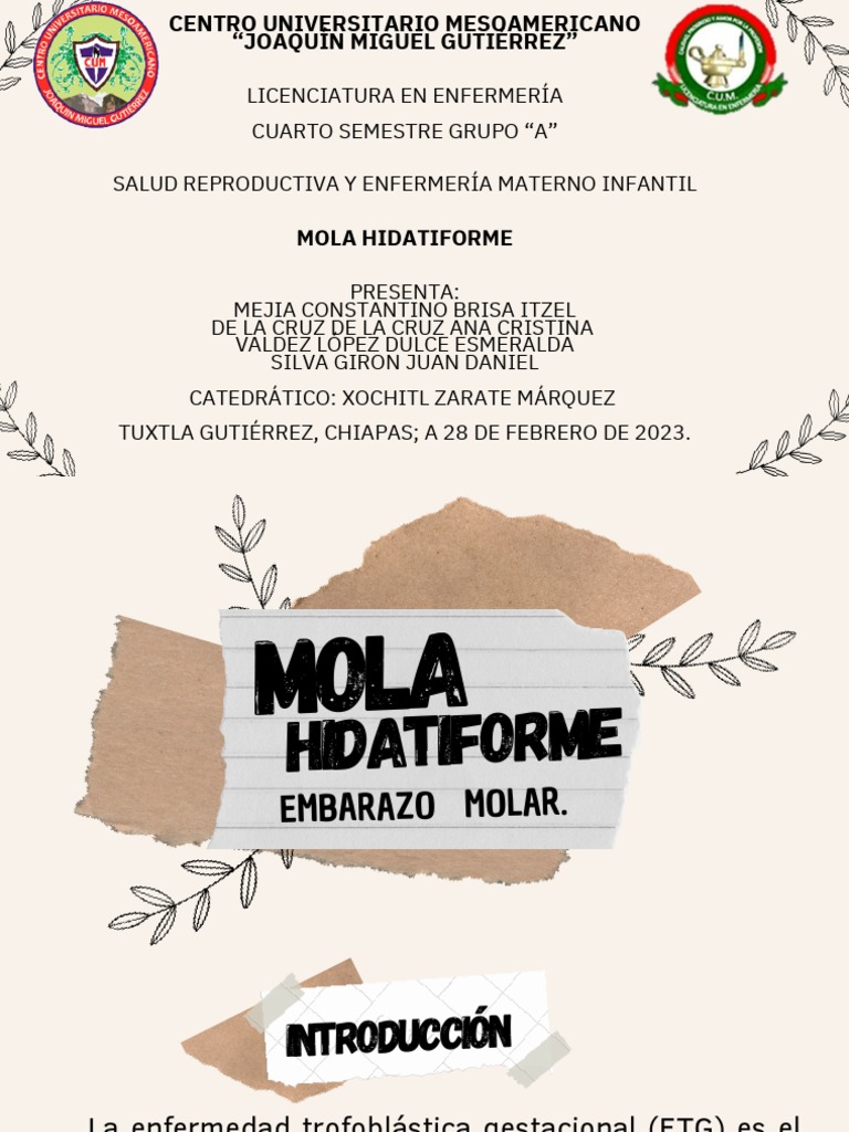 Mola Hidatiforme | PDF
