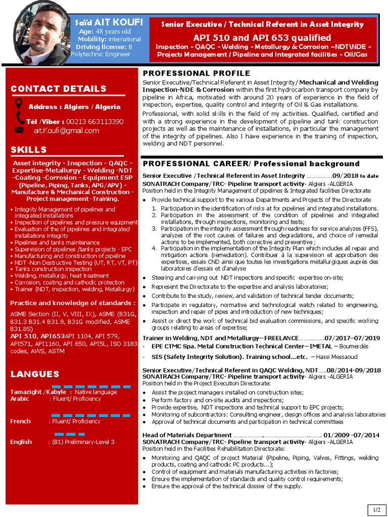 CV-Technical Referent - Asset Integrity - Inspection Metallurgy ...