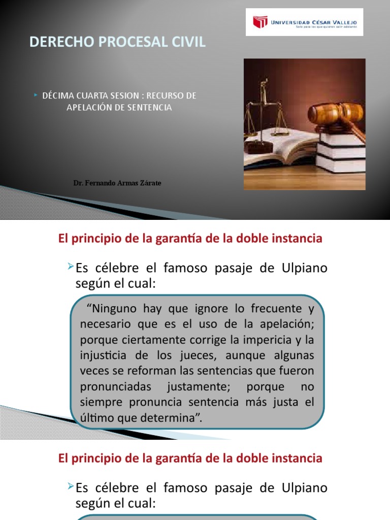 Decima Cuarta Sesion Recurso de Apelacion de Sentencia | PDF | Apelación | Ley procesal