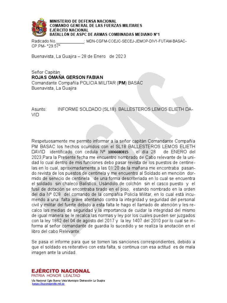 Informe Ballesteros Dormido de Centiela | PDF | Seguridad internacional | Relaciones internacionales