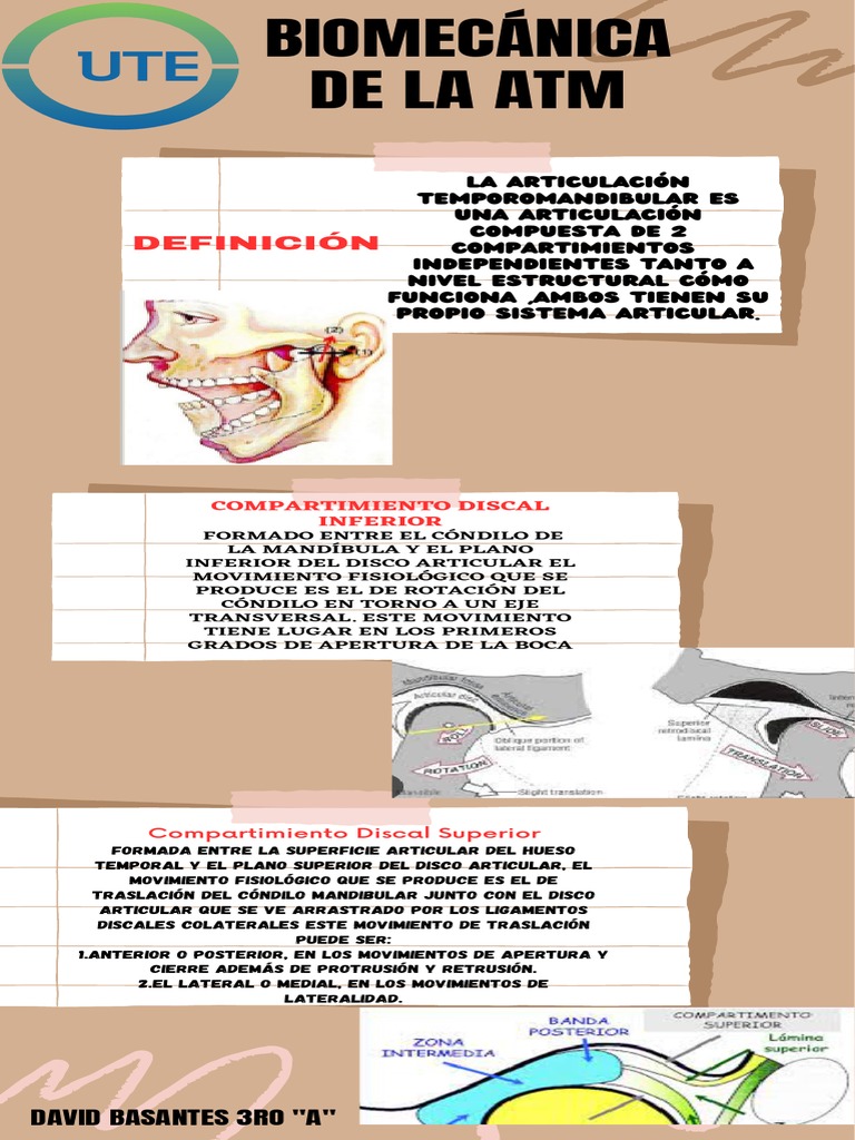 Biomecánica de La Atm | PDF