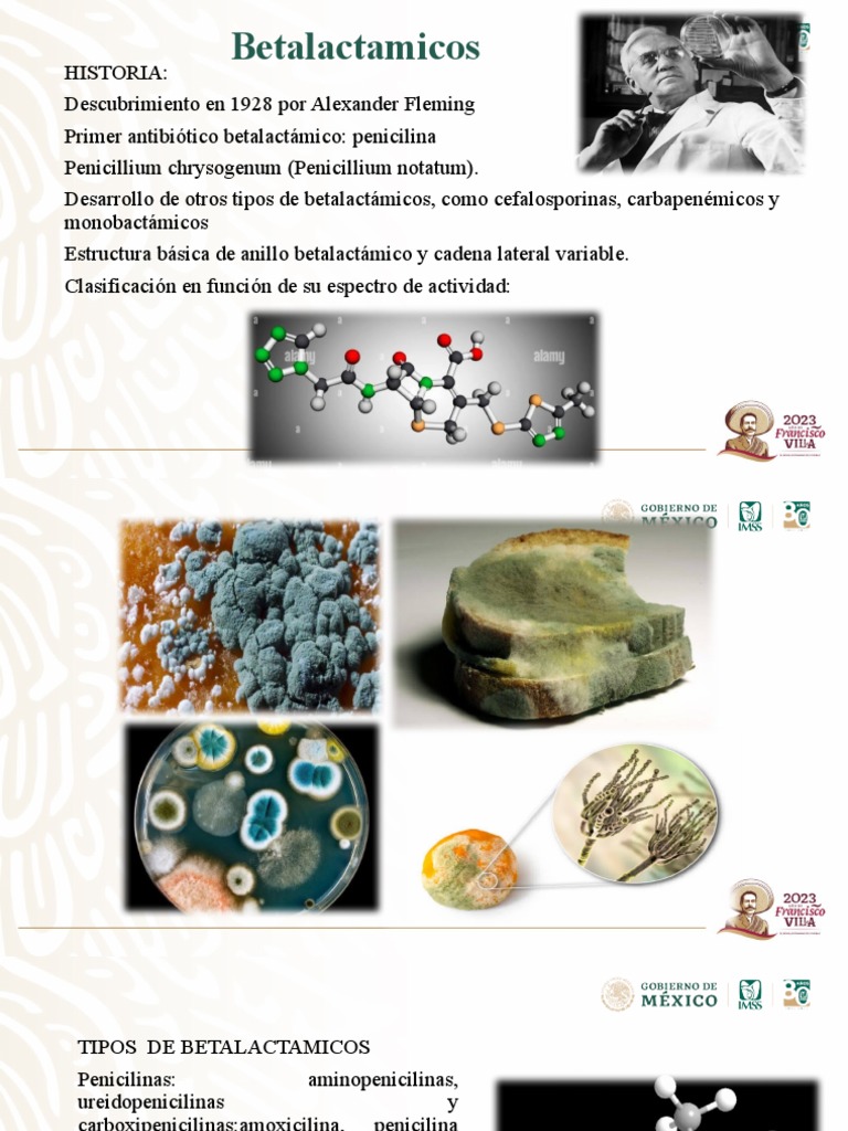 betalactamicos | PDF | Penicilina | Especialidades Medicas