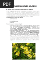 Experimento Tinta Invisible Con Curcuma - 20250203 - 094212 - 0000 ...