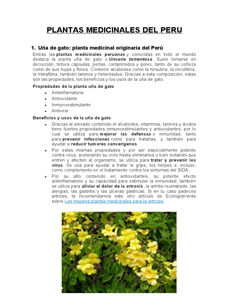 Plantas Medicinales del Perú y sus Usos | PDF | Cúrcuma | Plantas ...