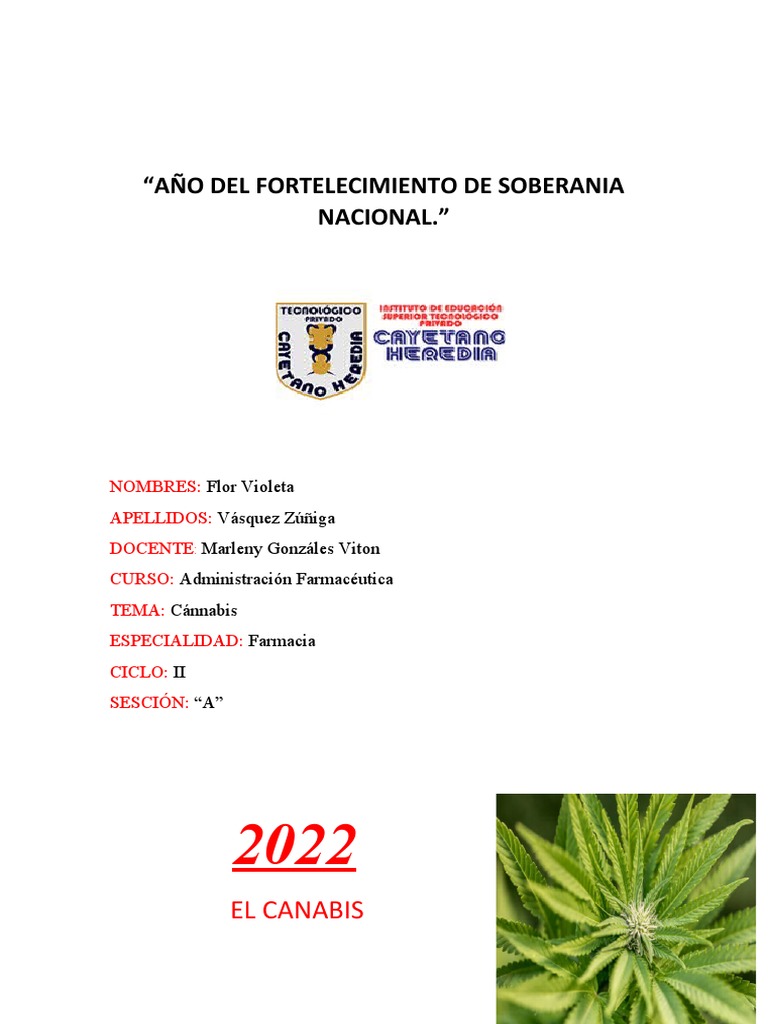 CANAVIS | PDF | Cannabis (Droga) | Causas de la muerte