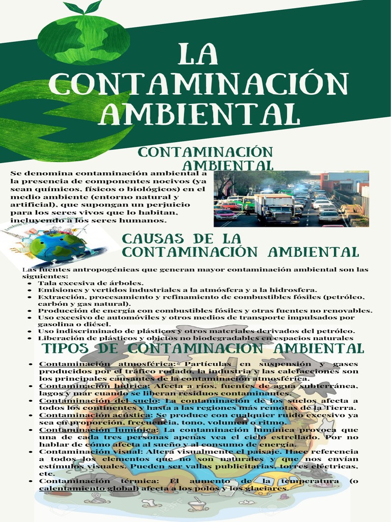 Infografia Medio Ambiente | PDF | Contaminación | Entorno natural