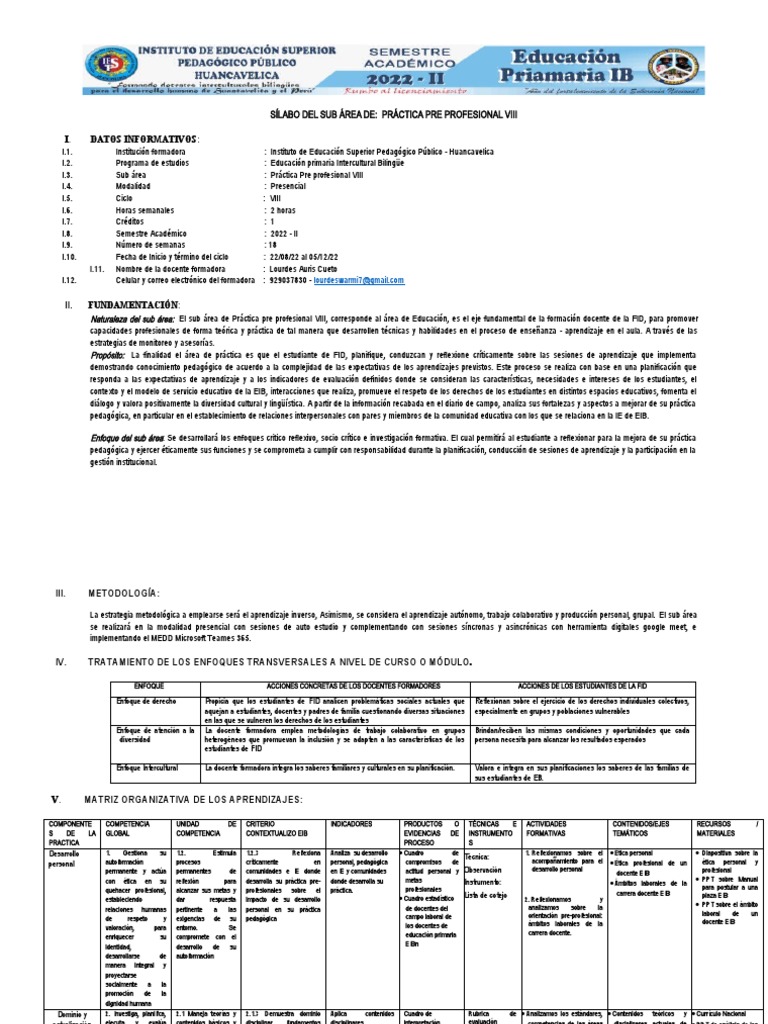 Práctica Preprofesional VIII EIB | PDF | Evaluación | Aprendizaje