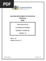 LFSC G12 Topic Test Memo (Evolution) | PDF