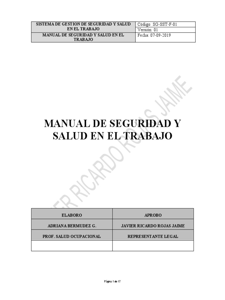 Manual de Seguridad y Salud en El Trabajo | PDF | Seguridad y salud ...