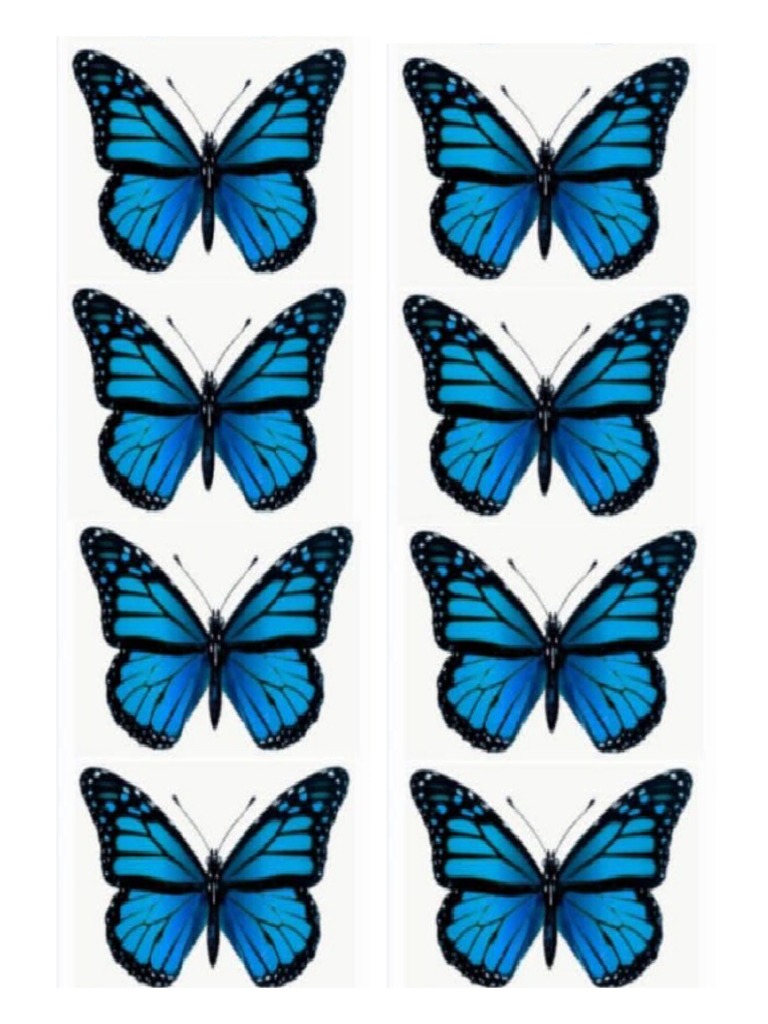 MARIPOSAS | PDF