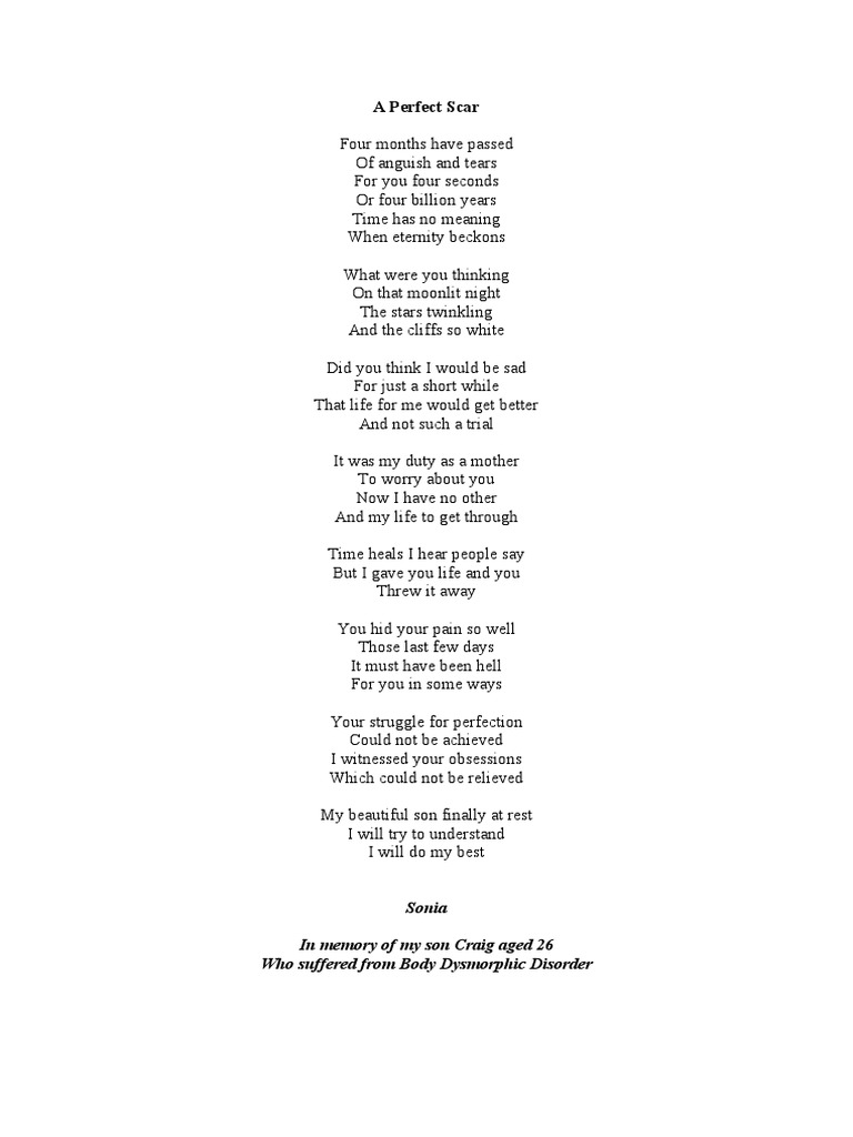 A Perfect Scar | PDF