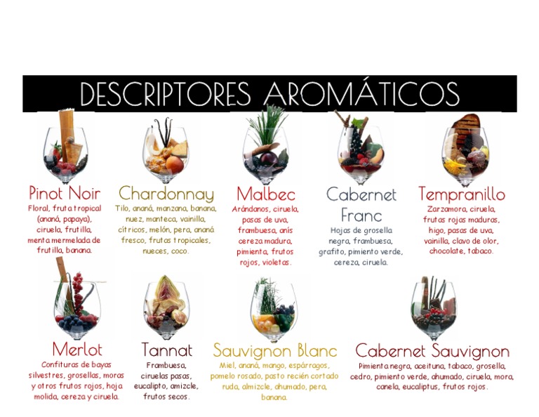 3 Descriptores Aromáticos | PDF