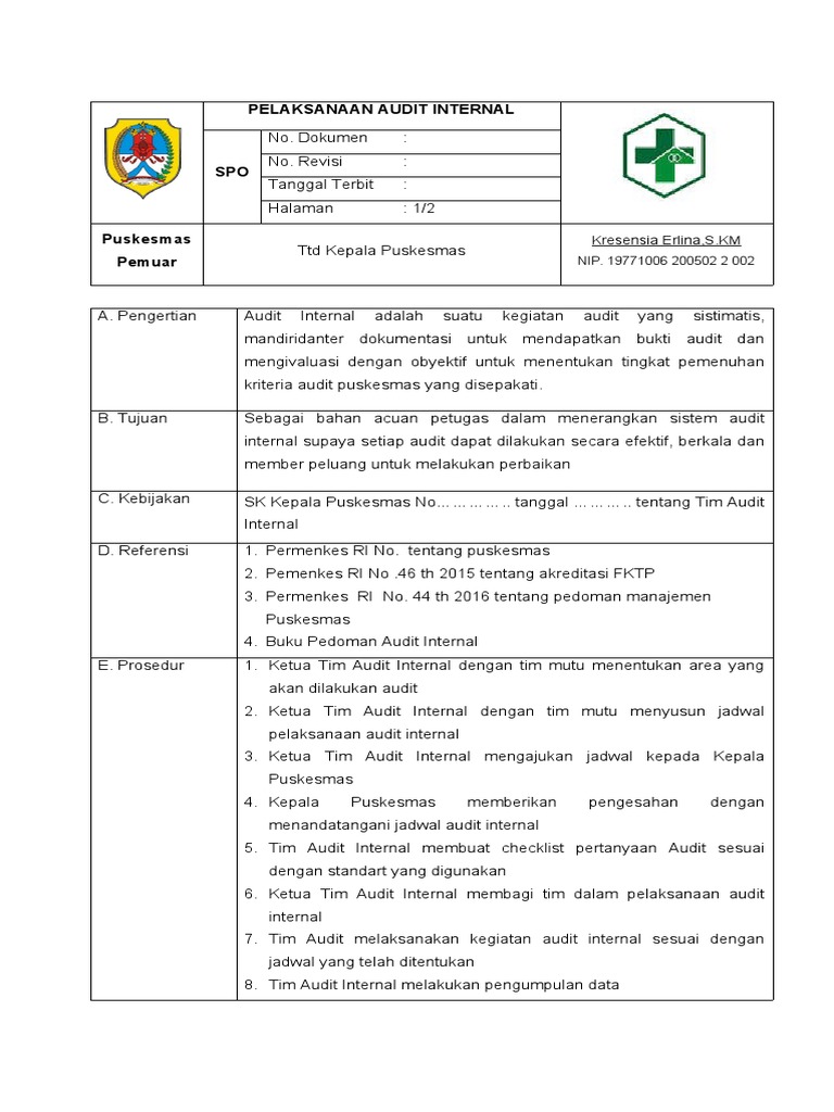 Prosedur Audit Internal Puskesmas | PDF