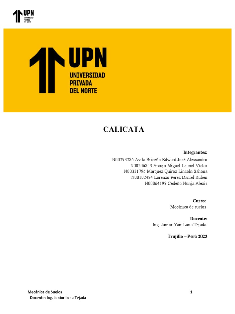 Calicata 2 | PDF | Ciencia y matemáticas