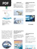 El Oso Polar | PDF | Oso polar | Osos