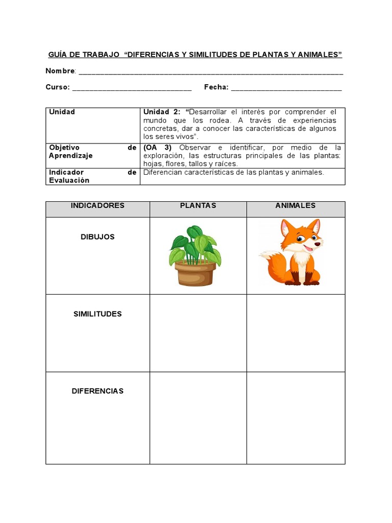 Diferencias y Similitudes: Plantas y Animales | PDF | Ciencia y matemáticas