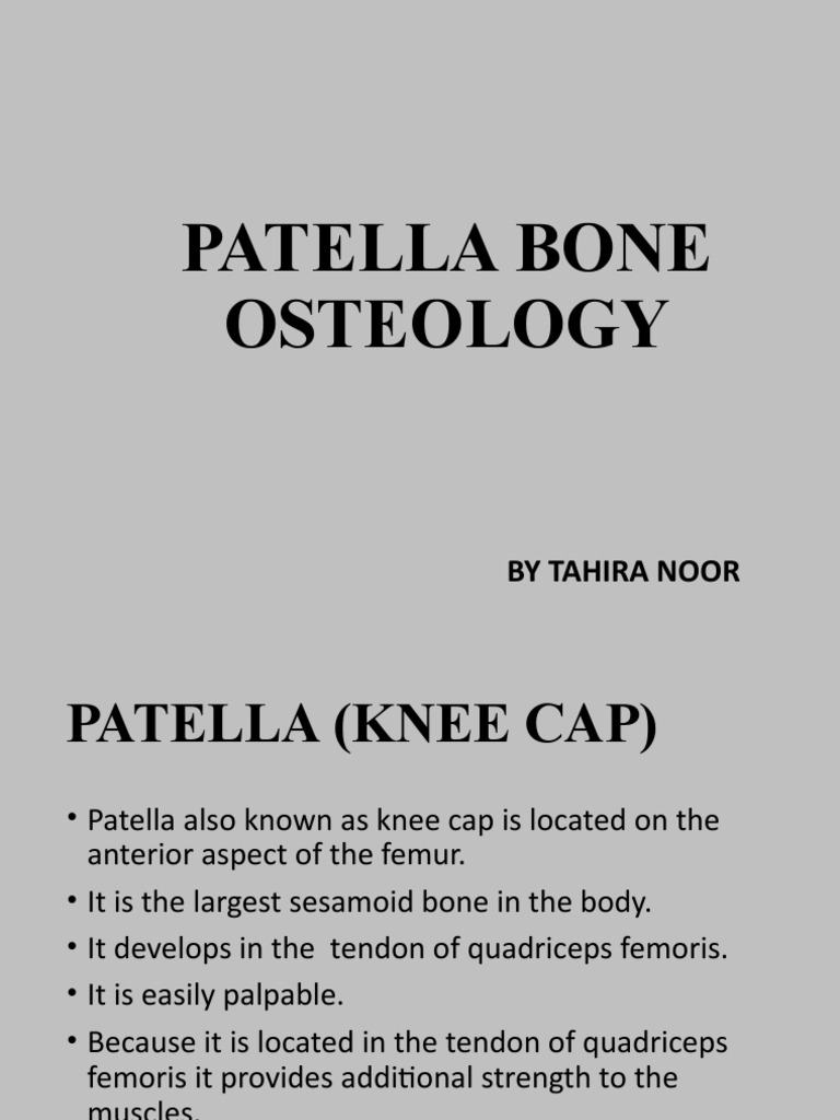 Anatomy and Function of the Patella | PDF