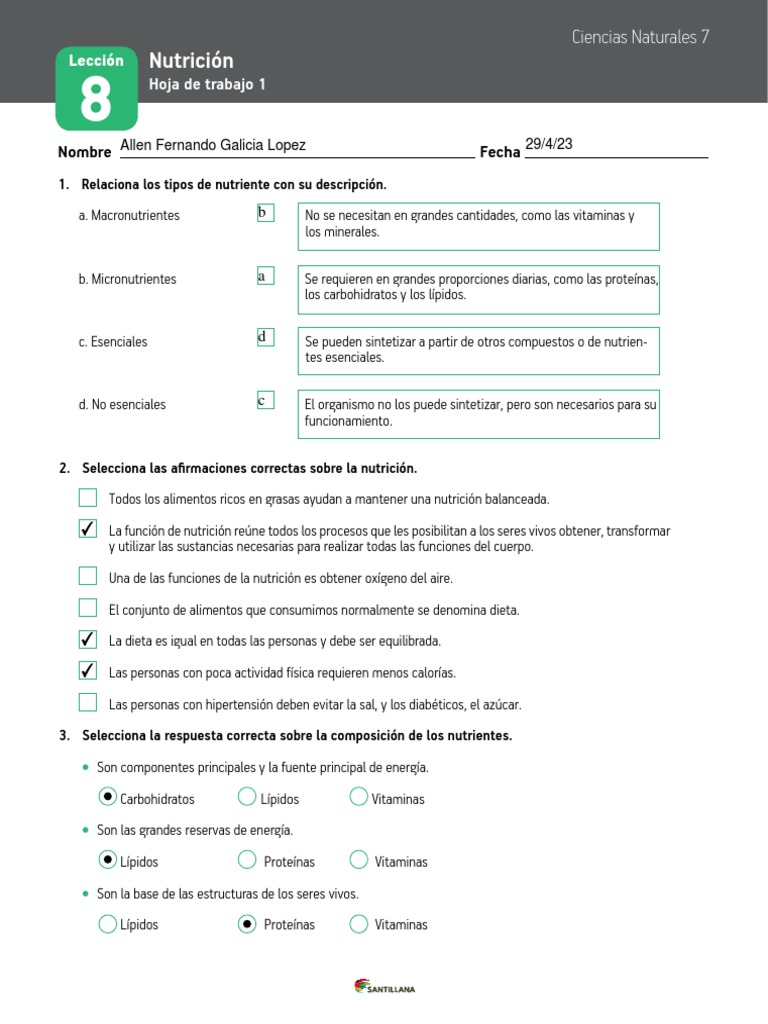 Leccion 8 | PDF | Ciencia y matemáticas