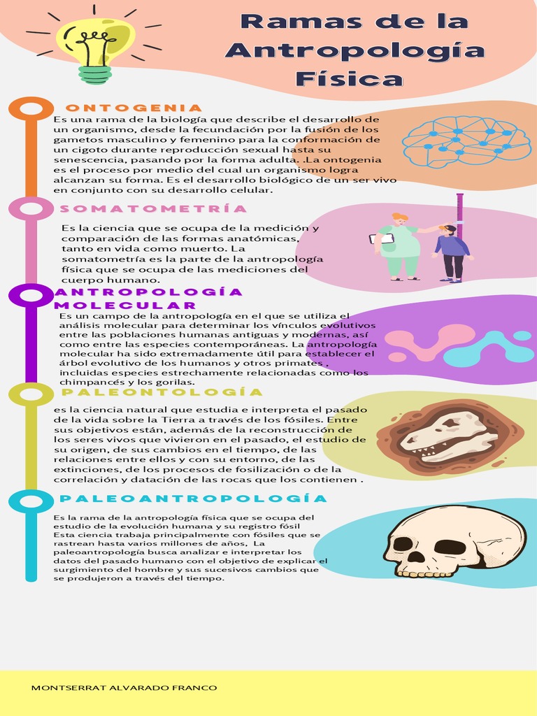Ramas de La Antropologia Fisica | PDF
