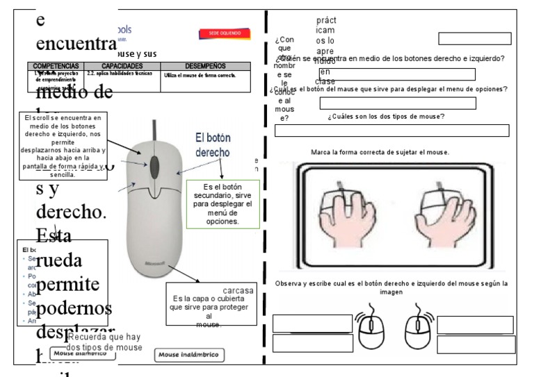 El Mouse y Sus Partes 4 de Primaria | PDF | Informática | Software