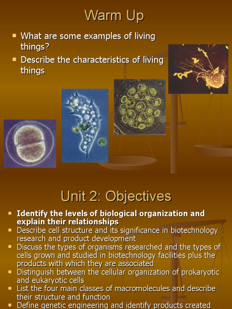 Biotechnology Unit 2 Overview | PDF | Cell (Biology) | Organisms