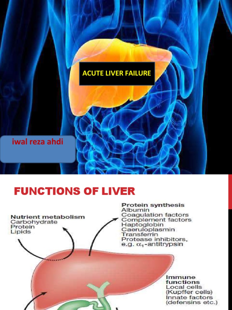 Liver Failure-Dikompresi | PDF | Hepatitis | Liver