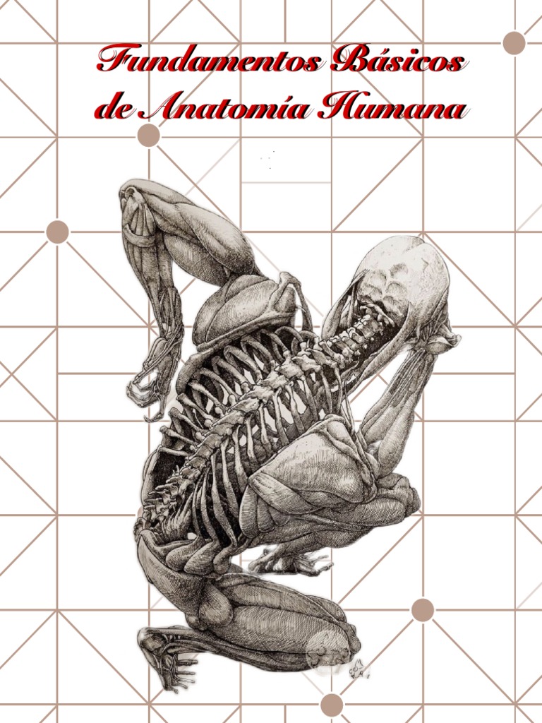 Fundamentos Básicos de Anatomía Humana | PDF | Términos anatómicos de ...