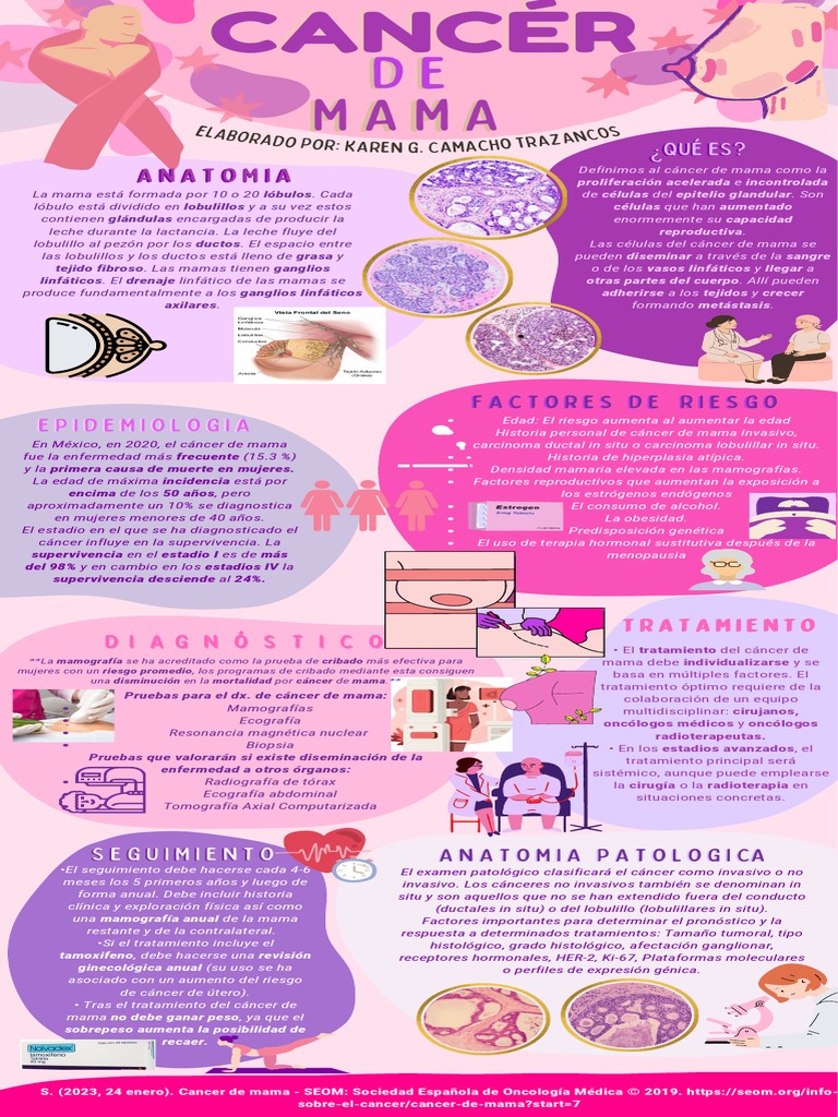 Infografía Cancer De Mama Pdf Cáncer De Mama Pecho