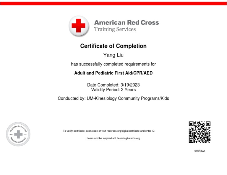 Red Cross Certificate Merge For Achievement Assignment sd-35128475 | PDF