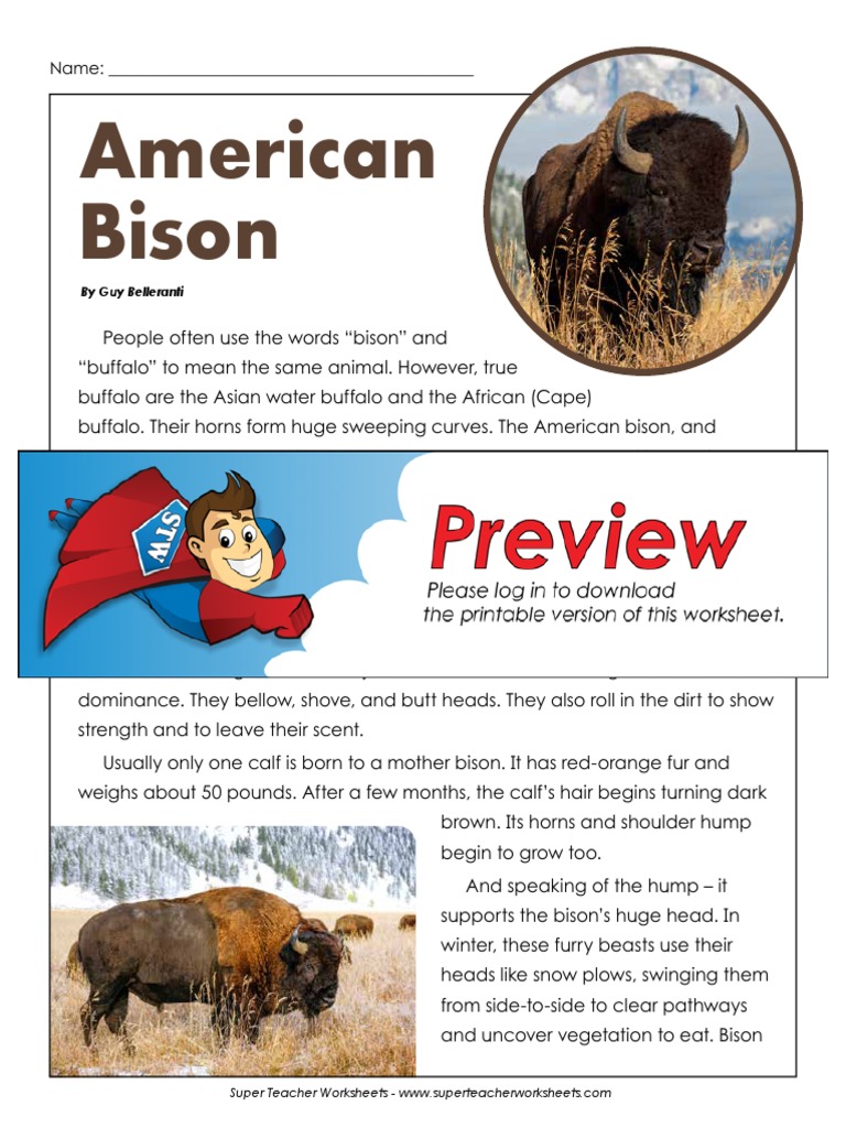 5th American Bison | PDF | American Bison | Bison