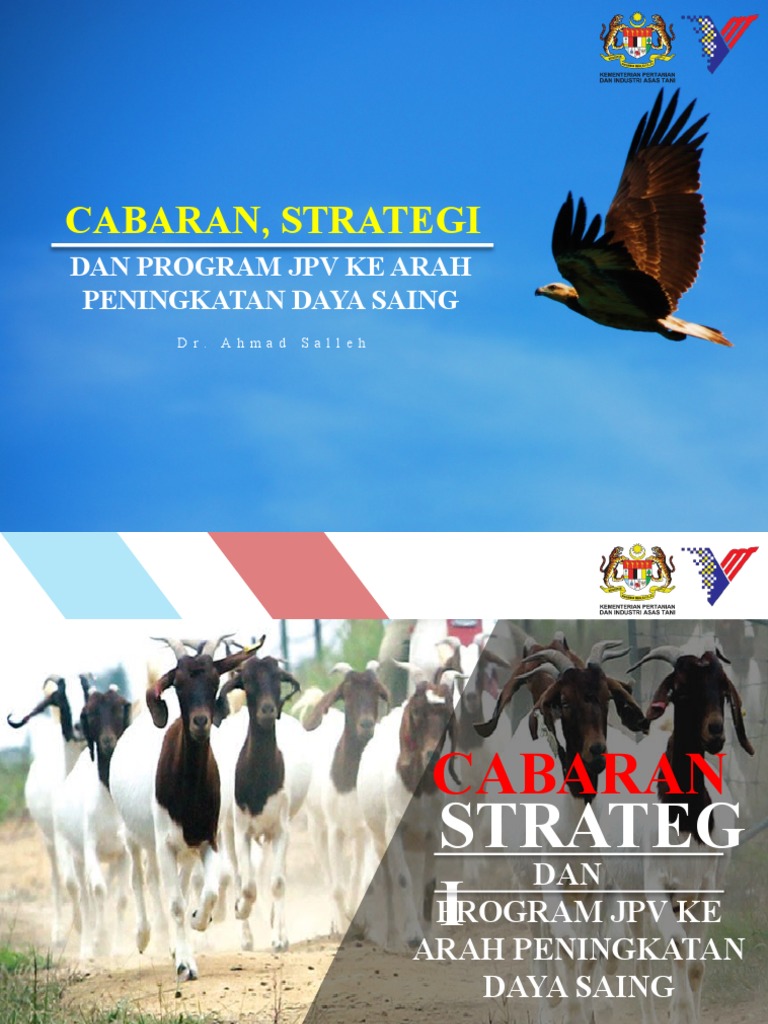 Cabaran Strategi Dan Program JPV Ke Arah Peningkatan Daya Saing | PDF
