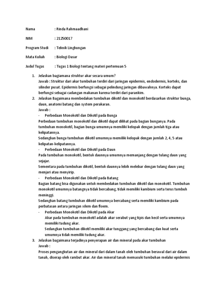 Struktur Akar Pdf 
