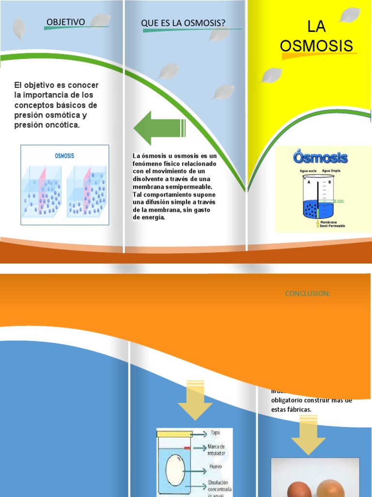 Triptico Final | PDF